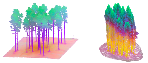 Advancing Forest AI: ETH Zürich Develops the First SingleTree Point ...